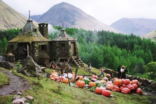 Autumn Tag: 20 questions for Autumn lovers 🍂 - Seven Roses